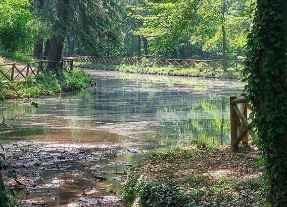 Visita guidata lungo il fiume Lambro nel Parco di Monza